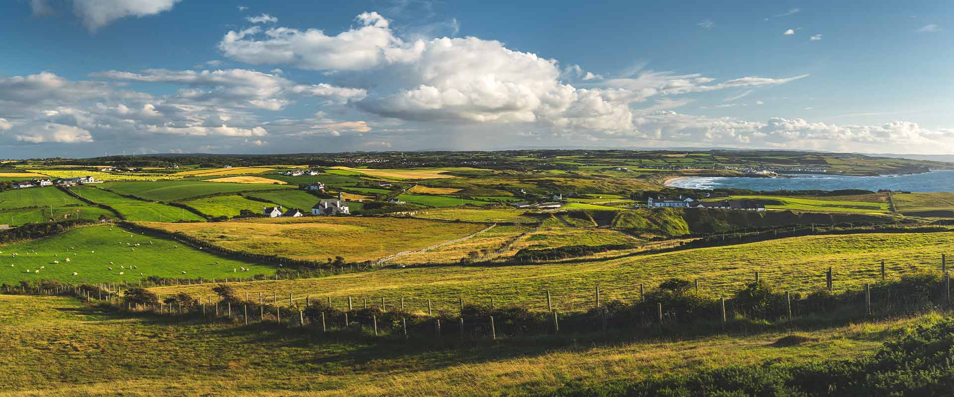 Land Wanted - Modbox Developments